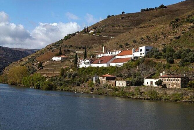 Private Half-Day Douro Tour - Who Is This Tour Best For?
