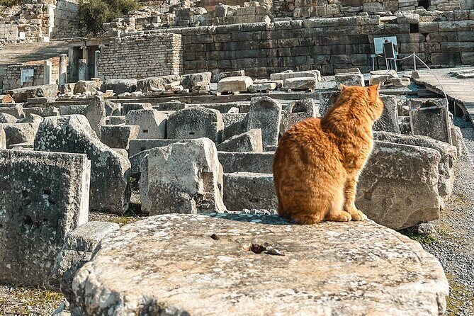 Private Half Day Ephesus Shore Excursion from Kusadasi - An Introduction to the Experience