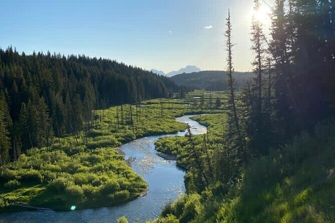 Private Half-day Fly Fishing - Who Should Book This Tour?