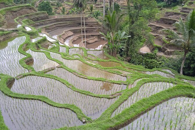 Private Half Day Heritage and Cultural Ubud Tour - All Inclusive - FAQ
