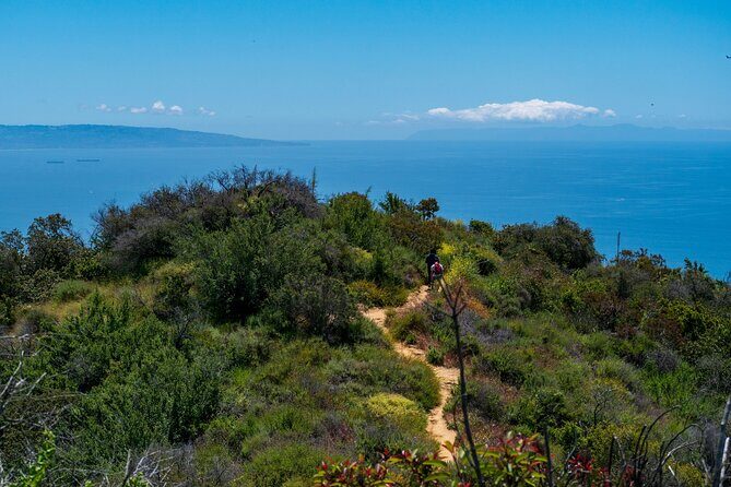 Private Half Day Hidden Hollywood Tour - FAQ