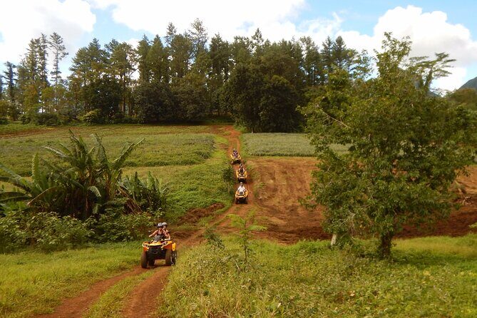 Private Half-Day Hike in the Opunohu Valley in Moorea - Authentic Experiences and Notable Highlights