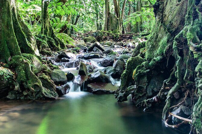 Private Half-Day Hike in the Opunohu Valley in Moorea - Who This Tour Is Best For