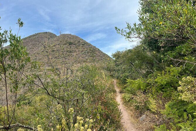 Private Half Day Hiking Experience in Picacho - Experience Breakdown: What to Expect on the Trail