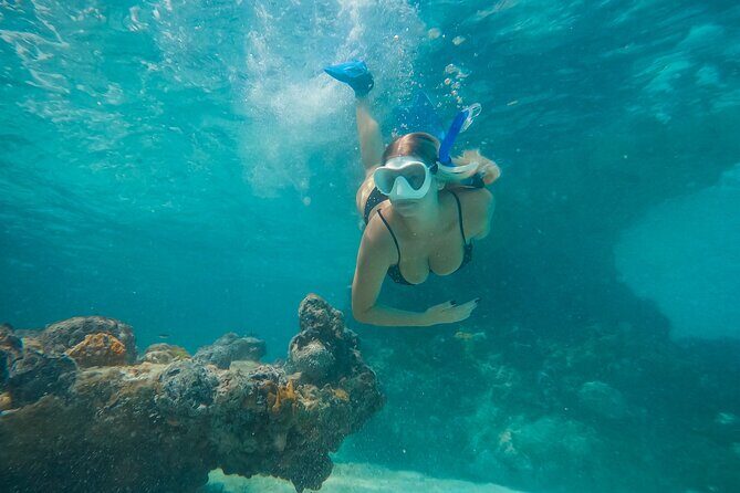 Private Half Day Luxury Snorkeling Charter - Discover the Marine Wonders of Turks and Caicos