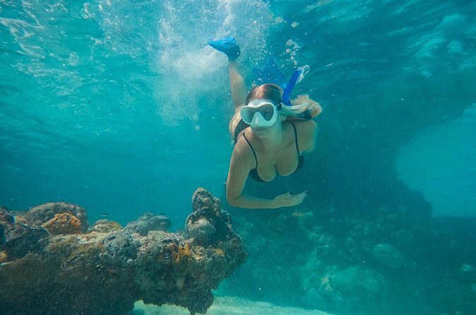 Private Half Day Luxury Snorkeling Charter - The Sum Up