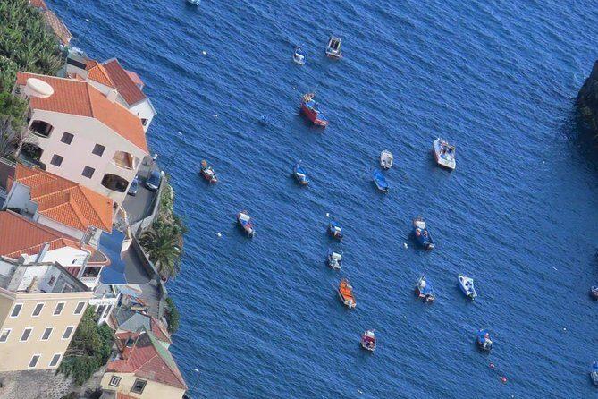 Private Half-Day Morning 4x4 Tour from Funchal - Who This Tour Is Best For