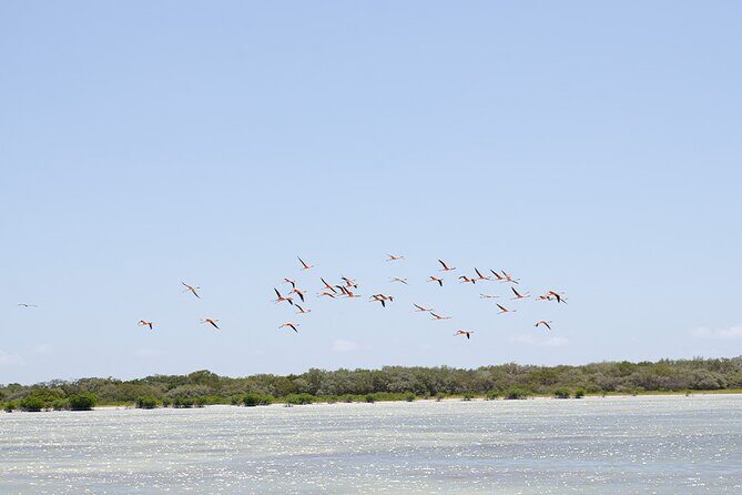 Private Half-Day Mud Bath Tour in La Laguna de Oviedo - FAQs