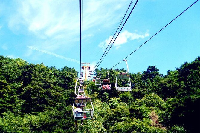 Private Half-Day Mutianyu Great Wall Tour with Cable Car Ride - A Personalised Escape to One of the World’s Wonders