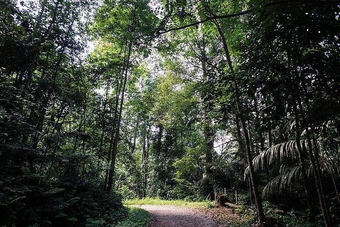 Private Half-Day National Botanic Garden Cycling Tour from Kuala Lumpur - What the Reviews Tell Us