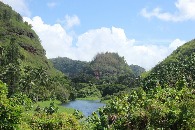 Private Half Day Oahu North Shore Anti-Tour - Practical Considerations