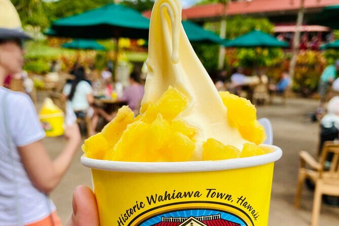 Private Half Day Oahu North Shore Anti-Tour - Who Will Love This Tour?
