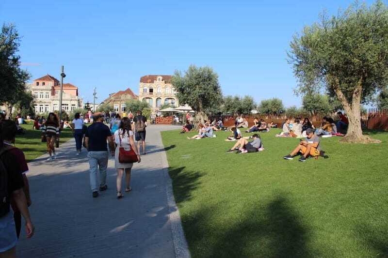 Private Half-Day Porto Tour By Car - What Makes This Tour Stand Out