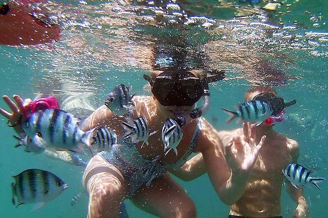 Private Half-Day Red Dragon Yacht for Snorkeling Koh Tan & Visit Pig Island - Summing Up