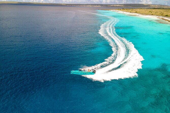 Private Half day REVOLVE Boat & Snorkeling tour in Bonaire - Practical Tips for Booking and Enjoying