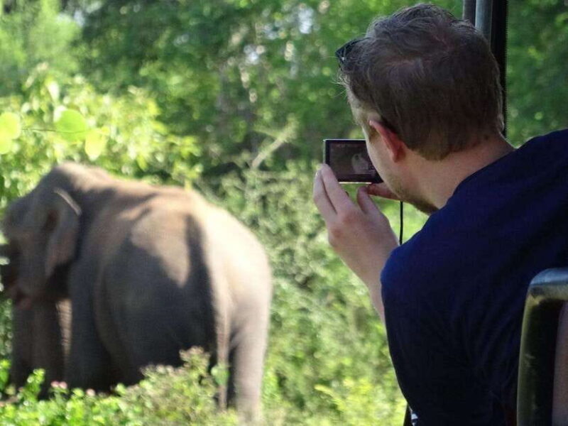 Private Half-Day Safari at Yala National Park - Key Points