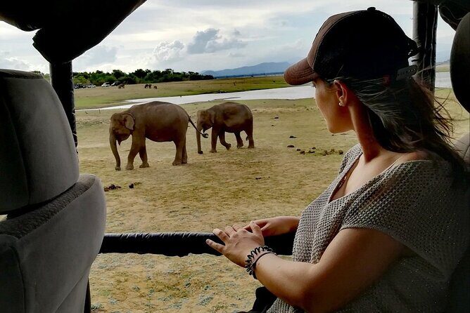 Private Half Day Safari in Udawalawe National Park - FAQ