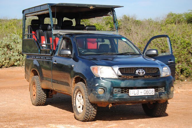 Private Half Day Safari Tour to Yala NP From Tangalle and Drop Back - Introduction