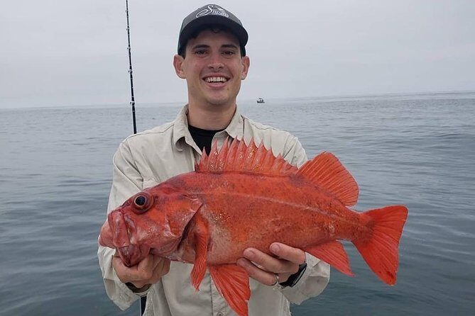 Private Half-Day San Diego Fishing Trip for up to 4 People - An Authentic Marine Experience in San Diego
