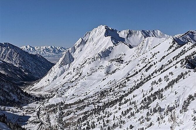 Private Half-Day Scenic Drive Through Salt Lake's Best Canyons - Authentic Experiences from Travelers