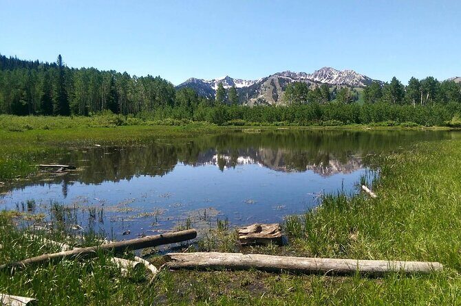 Private Half-Day Scenic Drive Through Salt Lake's Best Canyons - Final Thoughts