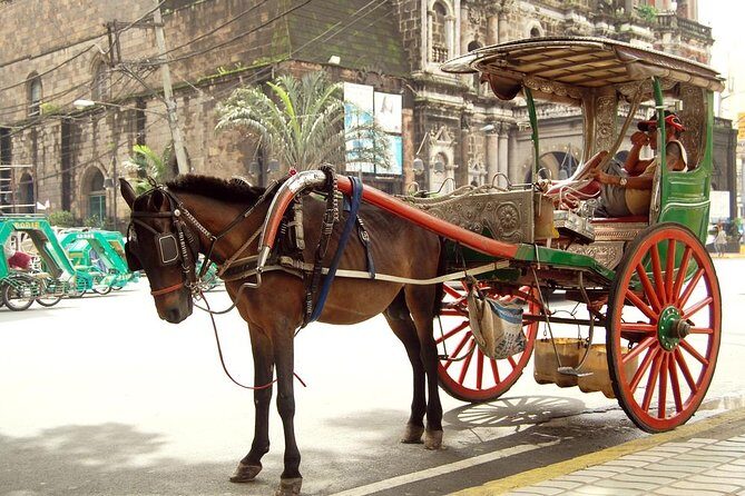 Private Half-Day Shore Excursion Old Manila - Why You’ll Want to Join This Tour