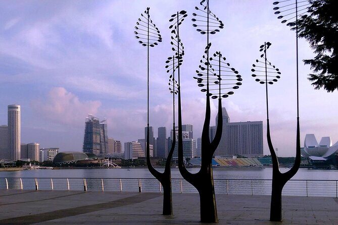 Private Half Day Singapore City Tour with Botanical Orchid Garden - What is the Tour All About?