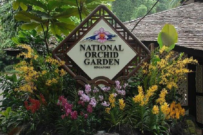 Private Half Day Singapore City Tour with Botanical Orchid Garden - Who Should Consider This Tour?