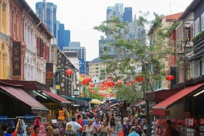 Private Half Day Singapore City Tour with Botanical Orchid Garden - The Sum Up