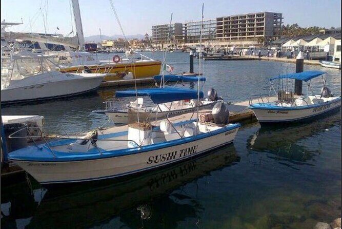 Private Half-Day Sport Fishing in Los Cabos - What’s the Experience Like?