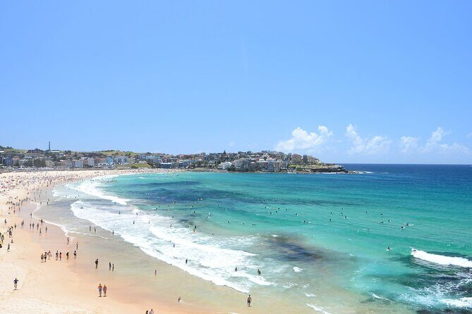 Private Half Day Sydney Tour by Vehicle & Boat - Sights & Sea - Who Is This Tour Best For?