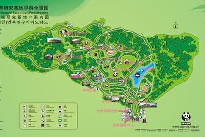 Private Half-Day Tour Chengdu Panda Breeding Center - Who Should Consider This Tour?