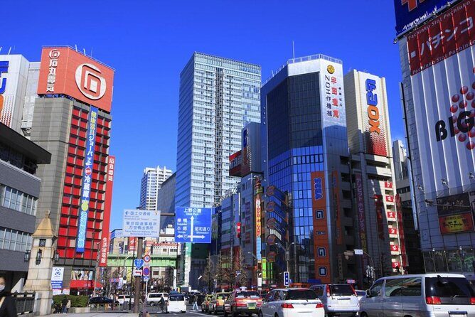 Private Half-Day Tour Colorful and Busy Street in Central Tokyo - Exploring Tokyo’s Colorful and Bustling Streets: A Private Half-Day Adventure