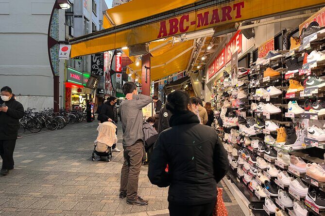 Private Half-Day Tour Colorful and Busy Street in Central Tokyo - What Does the Tour Mean for You?