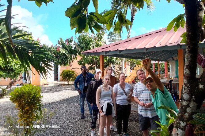 Private Half Day Tour in Dominican Republic with Local Guide - Key Points