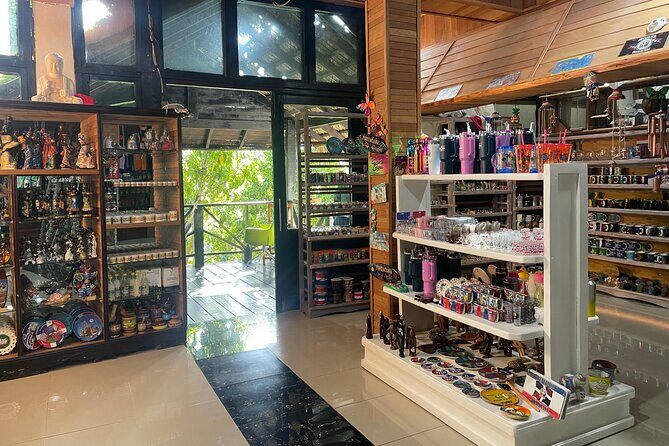 Private Half Day Tour in Dominican Republic with Local Guide - Is This Tour for You?