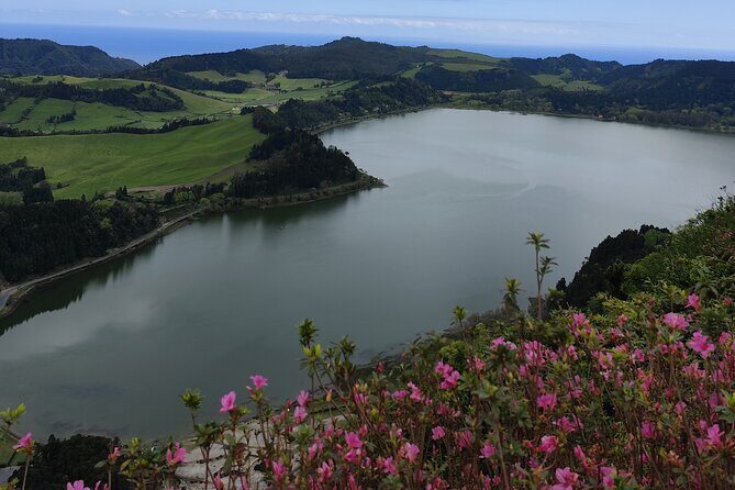 Private Half-Day Tour in Furnas São Miguel Island - Exploring the Details of the São Miguel Private Tour