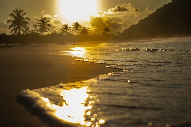 Private Half Day Tour in St. Thomas Virgin Islands with Guide - Why Choose This Tour?