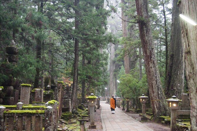 Private Half- Day Tour in Wakayama Koyasan - Key Points
