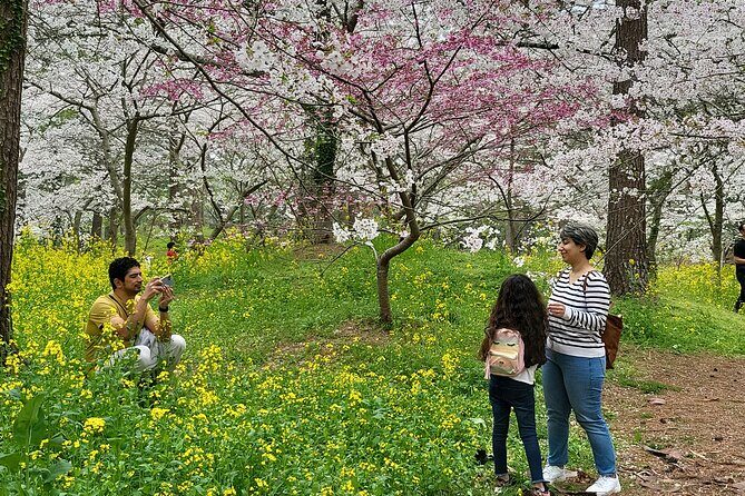 Private Half Day Tour Lava tube(Hanrim park ) in jeju island - What’s Included and What’s Not?
