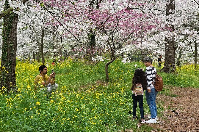Private Half Day Tour Lava tube(Hanrim park ) in jeju island - The Experience from a Travelers Perspective