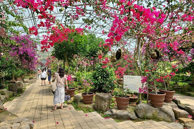 Private Half Day Tour Lava tube(Hanrim park ) in jeju island - Final Thoughts: Who Should Sign Up?