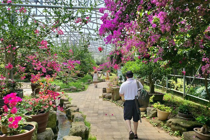 Private Half Day Tour Lava tube(Hanrim park ) in jeju island - The Sum Up