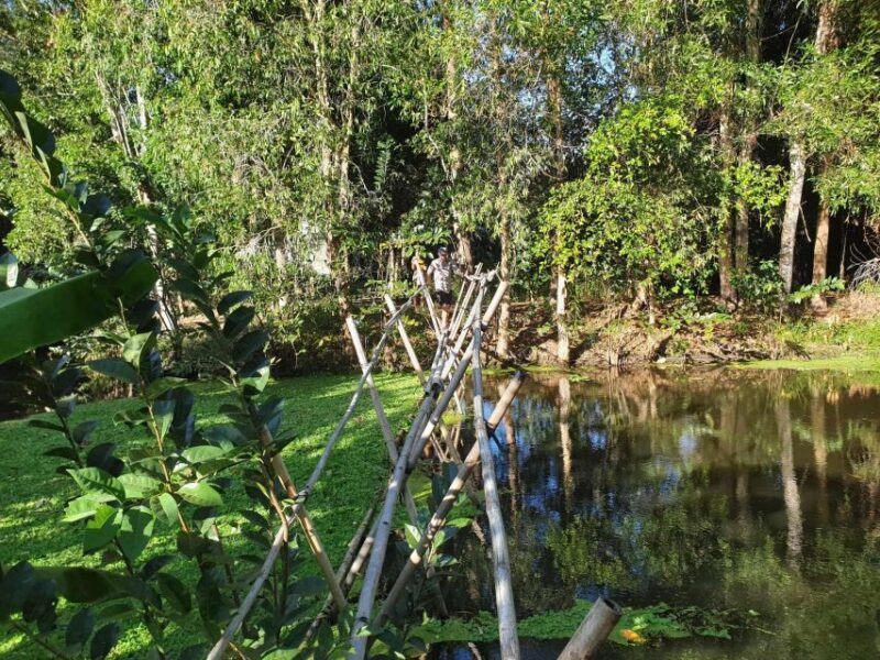 Private half day tour - Nature, wildlife & forest in Can Tho - Final Thoughts