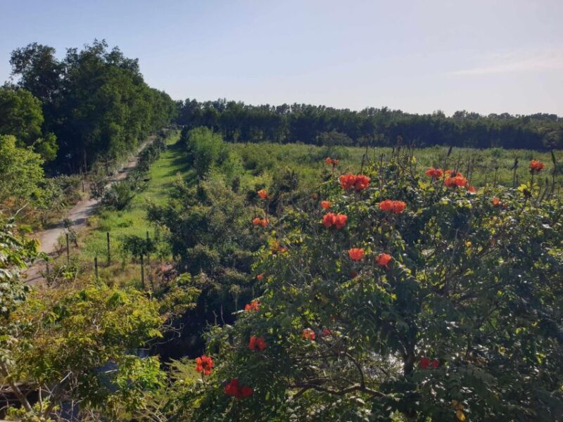 Private half day tour - Nature, wildlife & forest in Can Tho - FAQ