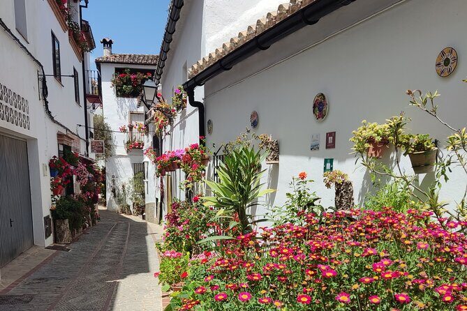 Private half-day tour of Ronda and the White Villages with native - Transport, Comfort, and Additional Perks