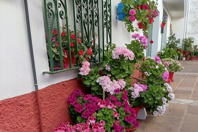 Private half-day tour of Ronda and the White Villages with native - FAQs