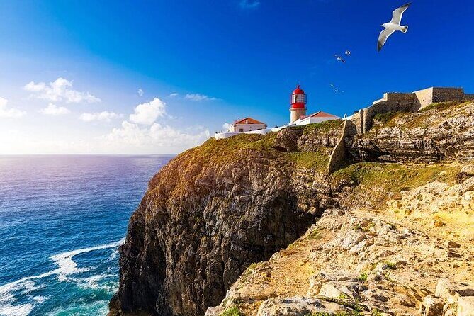 Private Half-Day Tour of the Finest Lagos and Sagres - Practical Details and Value