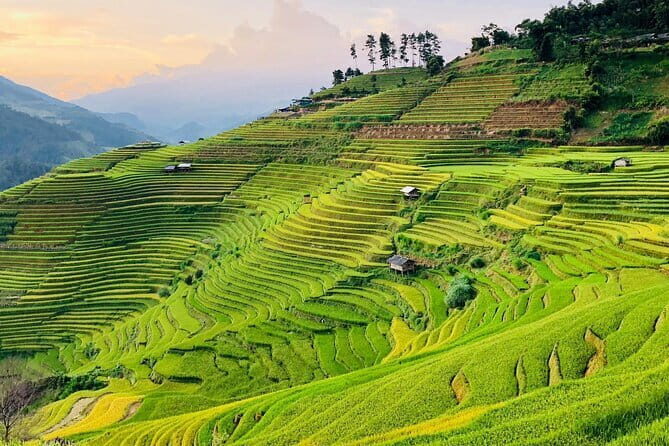 Private Half-Day Tour of Villages, Terrace Rice Fields by Car - A Deep Dive into the Experience