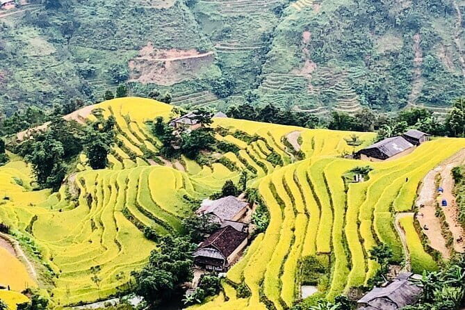 Private Half-Day Tour of Villages, Terrace Rice Fields by Car - Final thoughts